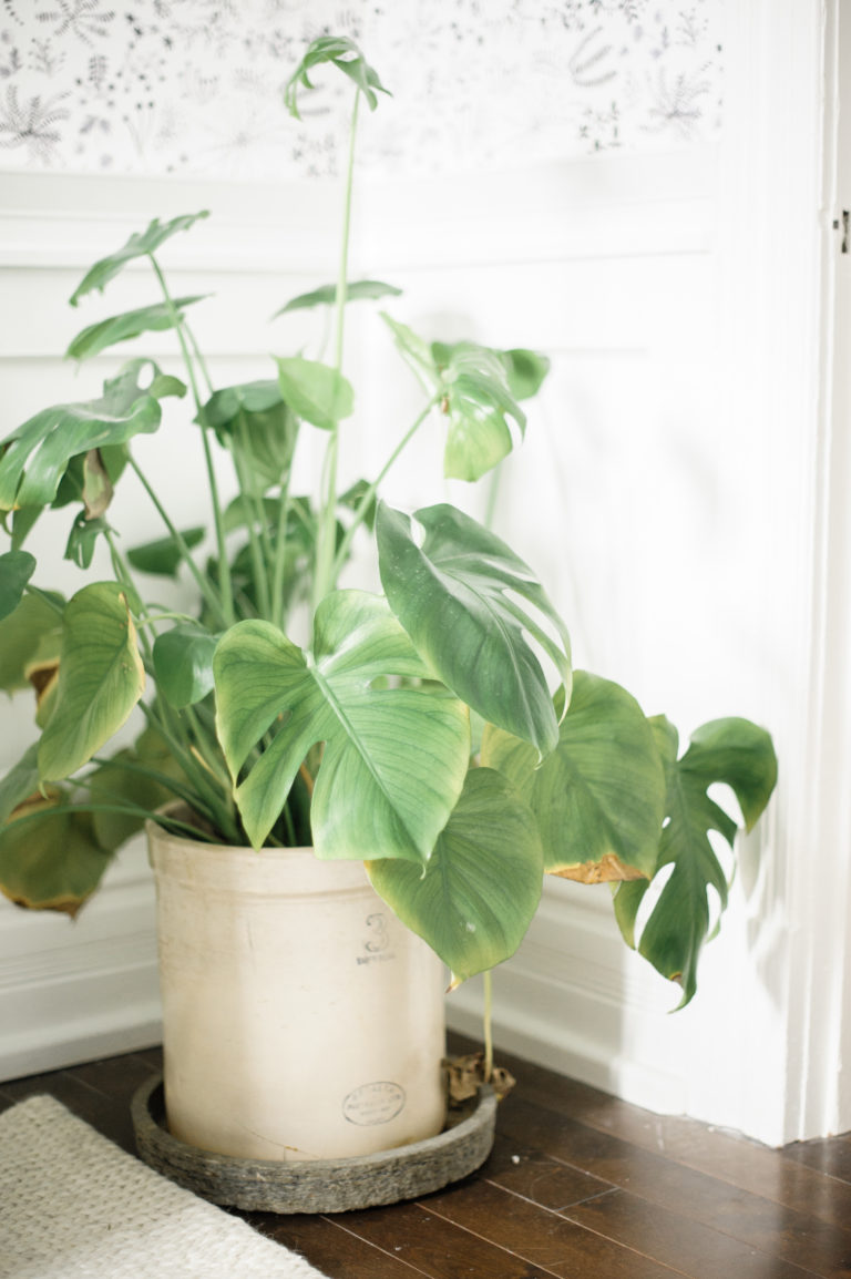 The Prettiest Home Office Tour and Interview with Lark & Linen · Haven