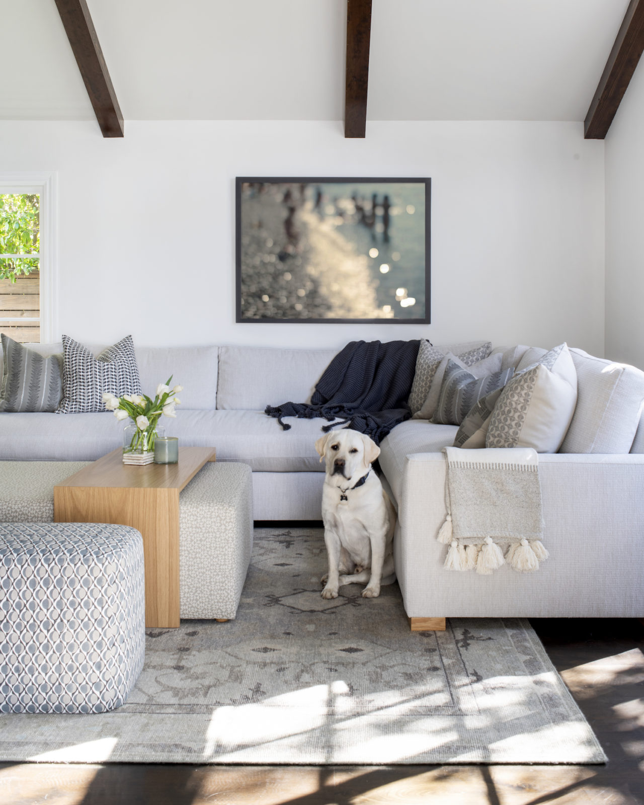 Julie Donovan Design - HAVEN