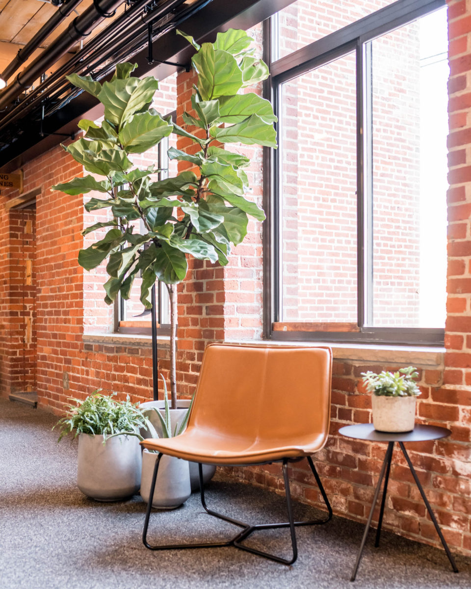 Ashley Bongo Design - HAVEN