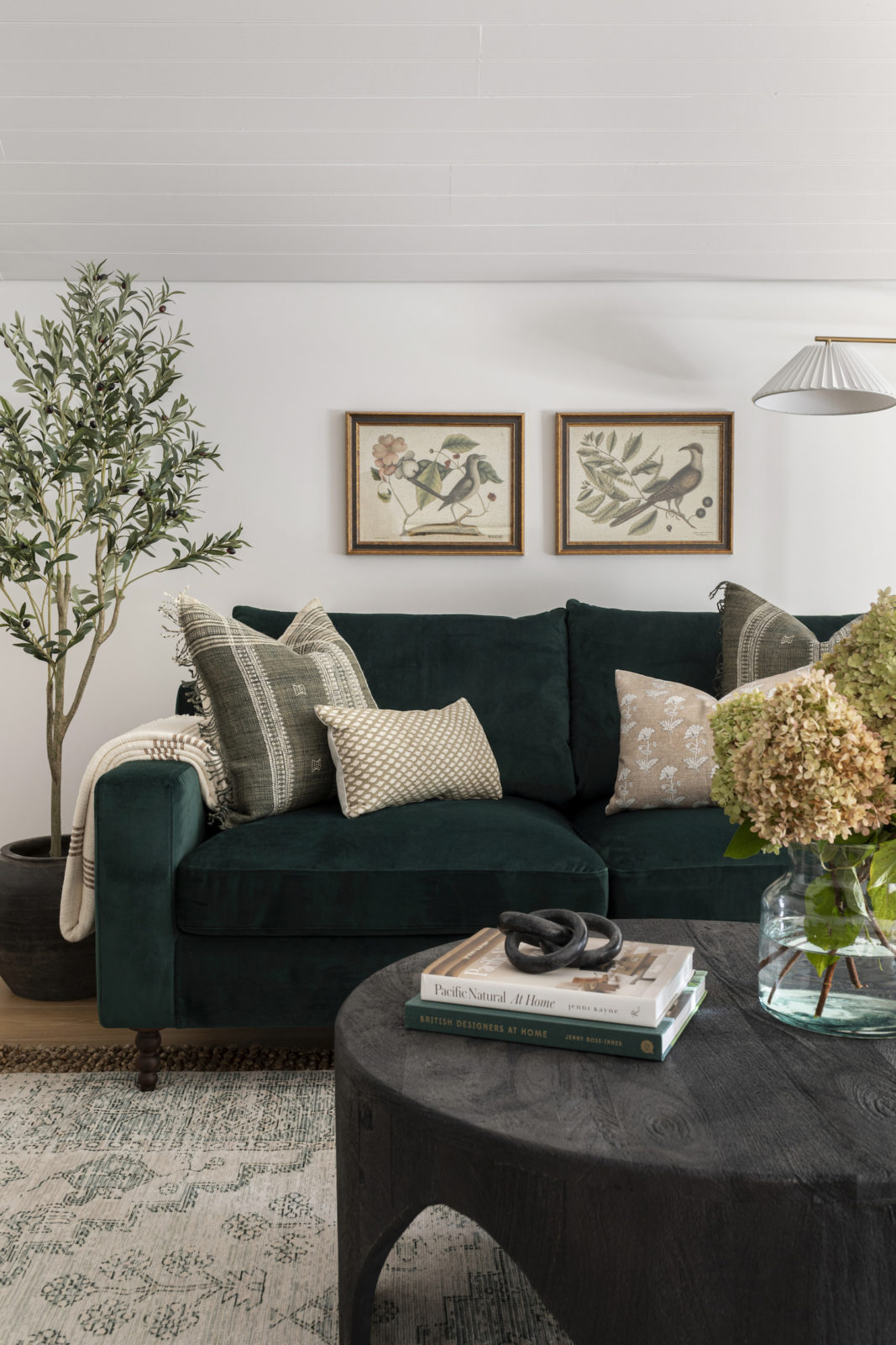 Well x Design · Haven