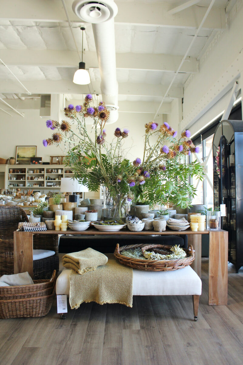 The Shop · Design Shop Interiors · Haven